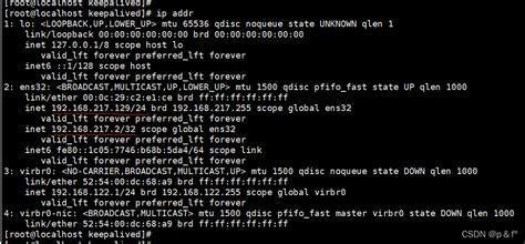 Keepalived实现双机（主从nginx）主备高可用（1）keepalived不同网段 Csdn博客