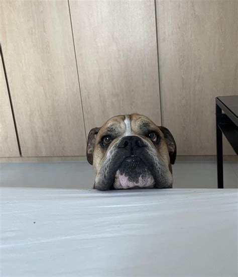 The First Thing I See Once I Open My Eyes In The Morning