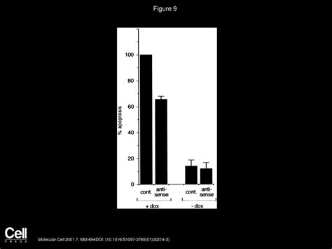 Puma A Novel Proapoptotic Gene Is Induced By P53 Ppt Download