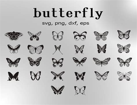 Butterfly Svg Clipart Butterfly Vector File Digital Clip Art Etsy