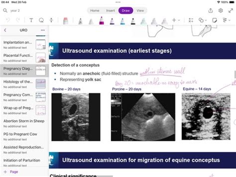 Pregnancy Diagnosis Flashcards Quizlet