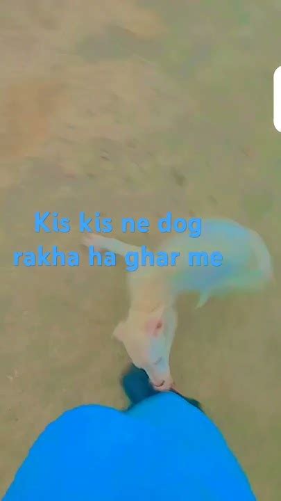 Love اکرام Youtube