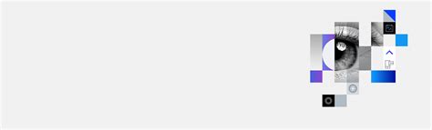 Ibm Verify 特権 Id
