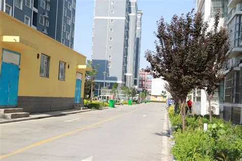 示范区：丁有亮带队观摩盛和社区创卫工作工作开展情况 中华龙都网 周口日报社主办 河南省重点新闻网站