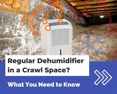 Dehumidifier Sizing Guide What Size Dehumidifier Do You Need Hvac Training Shop