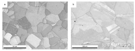 西北工大材料顶刊：晶粒尺寸对高熵合金应变硬化行为的双重影响！ 知乎