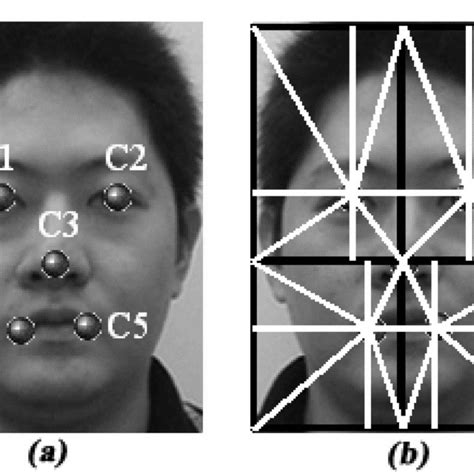 edge detection results a 7x7 laplacian of gaussian filter b 15x15