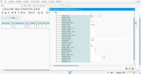 Sap Bapi Mm模块 采购信息记录创建和修改 Meinforecordmaintainmulti Se37函数测试事务码me11