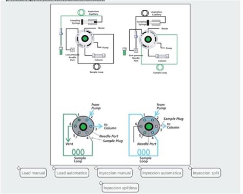 In The Figure Below Place The Marker Of Each Hplc