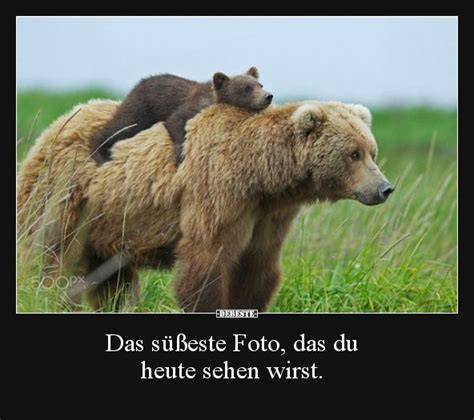 Das Süßeste Foto Das Du Heute Sehen Wirst Lustige Bilder Sprüche