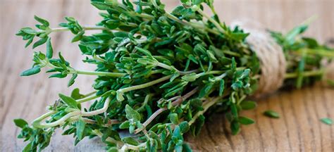 Thyme Nutrition Health Benefits Uses And Recipes Dr Axe