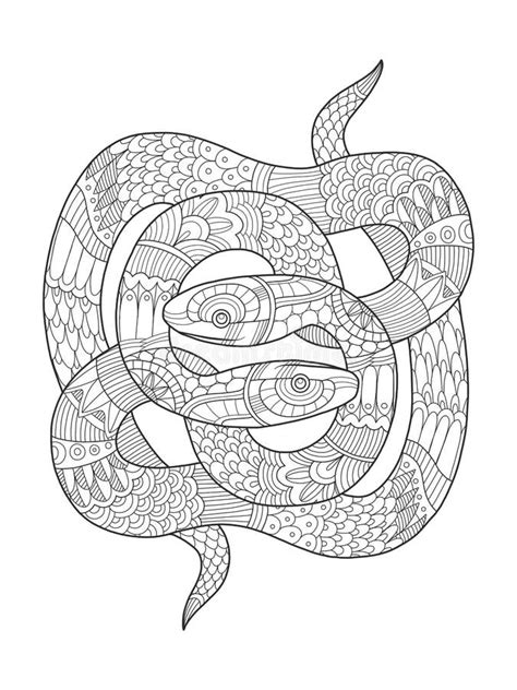 Coruja Com O Livro Para Colorir Da Serpente Para O Vetor Dos Adultos Ilustração do Vetor