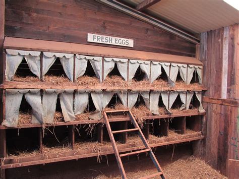 Diy Nesting Boxes For Chickens
