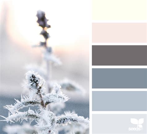 Cold Color Palette 76 Photo