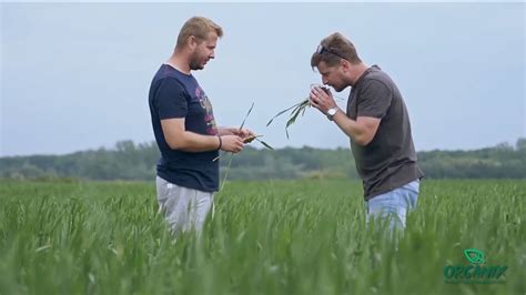 Use biostimulants and biofertilizers in Slovakia – AgriTecno Ukraine