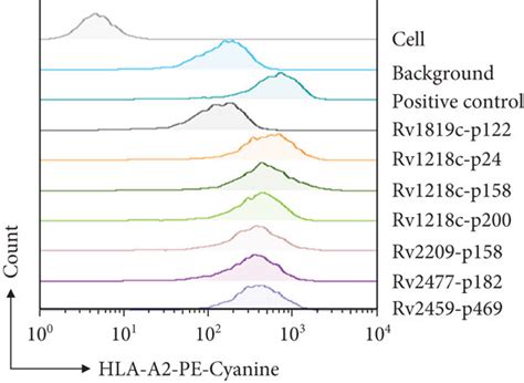 Representative Flow Chart Of Binding Affinity And Peptide Hla A2