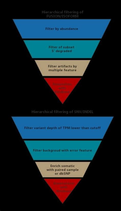 Figure Hierarchical Filtering For Preliminary Calling Results Of All Download Scientific