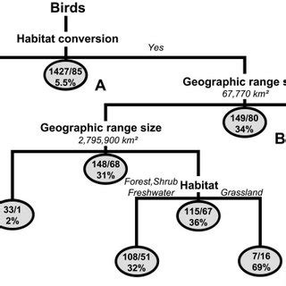 Labeled Nodes Are Referenced In Main Text Download Scientific Diagram