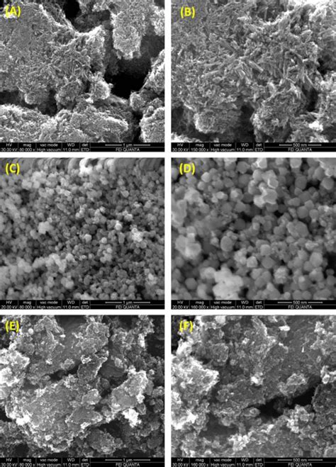 SEM Images Of A B TiO 2 Nanorods C D Bi 2 WO 6 And E F 3 Wt