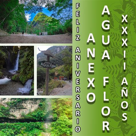 🎊 El Anexo Agua Flor Está De Turismo San Ramón Facebook