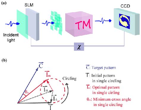 Figure 1 From Customizing Optical Patterns Via Feedback Based Wavefront