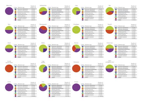 Pie Chart Showing The Percentage Of The Different Mutation Types Of Download Scientific Diagram