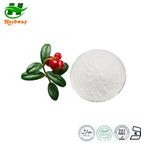 Herbway Herbal Extract Kosher Halal Fssc Haccp Certified Uva Ursi Leaf Extract Ursolic Acid
