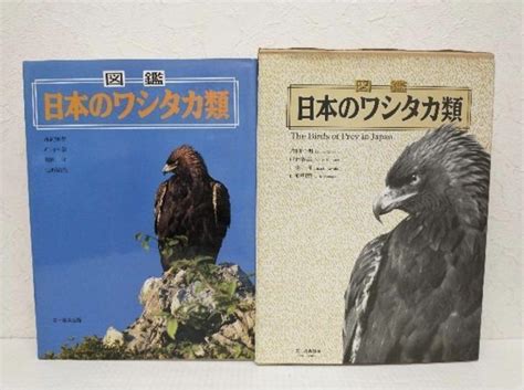 「図鑑 日本のワシタカ類」 メルカリ