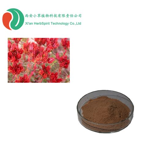 红景天 美白抗衰 保健品原料 药食同源植物提取物 西安小草植物科技有限公司 小草科技 西安小草 小草植提 小草生物 西安小草生物