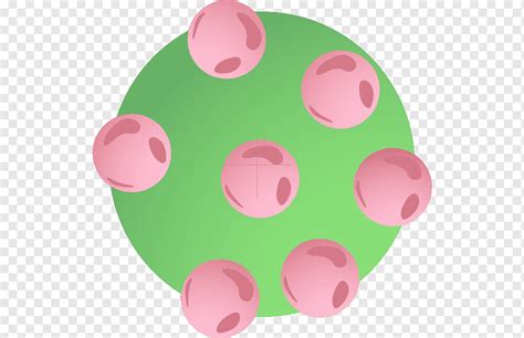 Pink M Circle Lingkaran Buah Pink M Lingkaran Png PNGWing