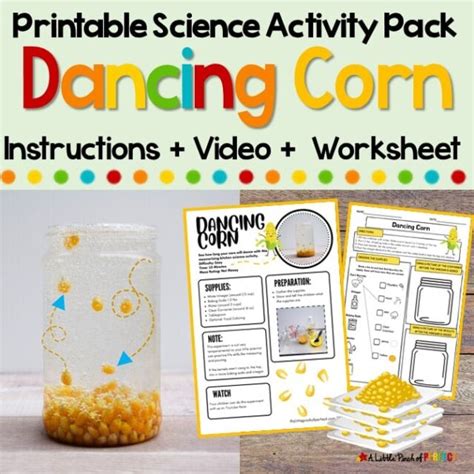Dancing Corn Science Experiment A Little Pinch Of Perfect
