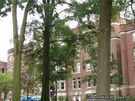 Webster University In St Louis County