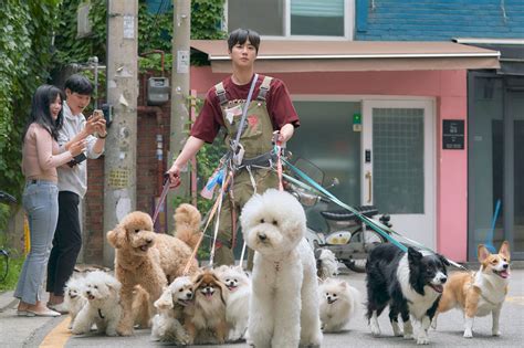 집사 이준영 비주얼도 서비스도 일당백 Mbc 일당백집사 10월 19일 첫 방송 스타연예 Kbs연예