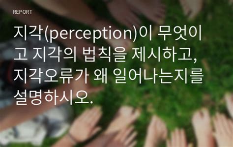 지각perception이 무엇이고 지각의 법칙을 제시하고 지각오류가 왜 일어나는지를 설명하시오 레포트