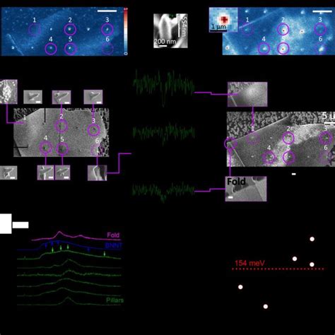 The Smd Is Shown For A Damp B Dgmp C Dcmp And D Dtmp Download Scientific Diagram