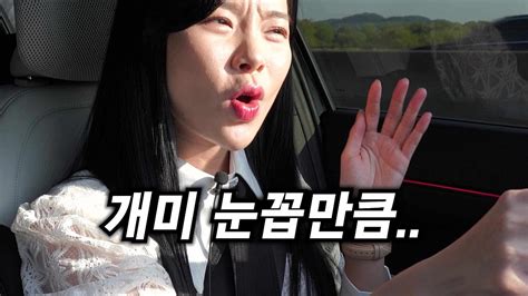 Ev4 Vs Ev3 네이버 Tv