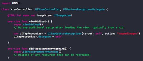 Turn A Uiimageview Into A Button In Swift Swiftlevelone