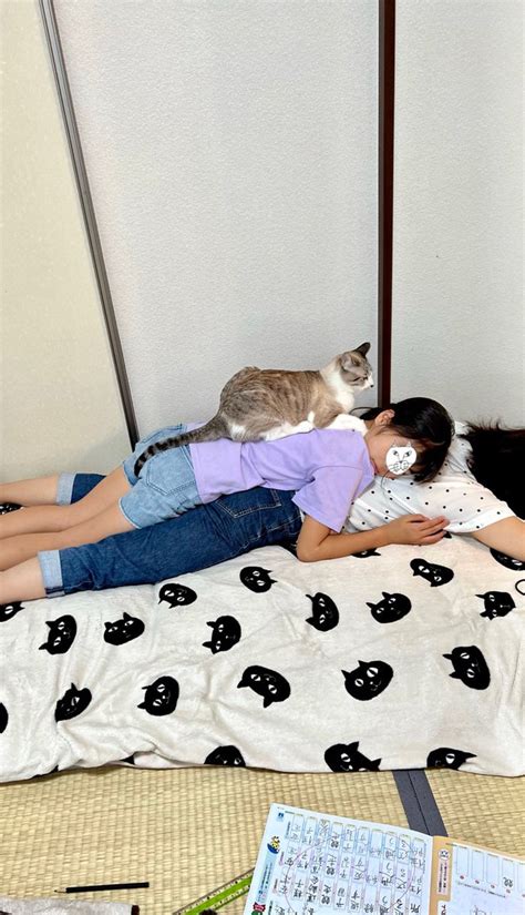 なみそ📗今日も猫だまり発売中 On Twitter 「ネコがいるから宿題出来な～い」と言う娘と、「そんなキミらがいるから昼ゴハン作れな～い