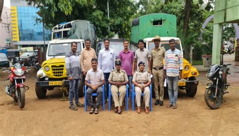 Cattle Vehicle Thieves Arrested 2 Cows 3 Boleros And 2 Bikes Seized In