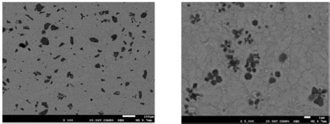 TiC Micromorphology And Partial Enlargement Download Scientific Diagram