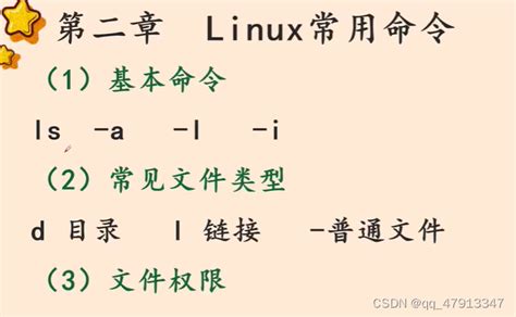 linuxls命令详解：查看文件属性与排序 csdn博客