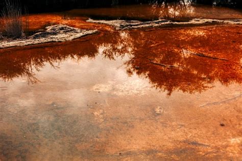 Mud Puddle Reflection Images Free Download On Freepik