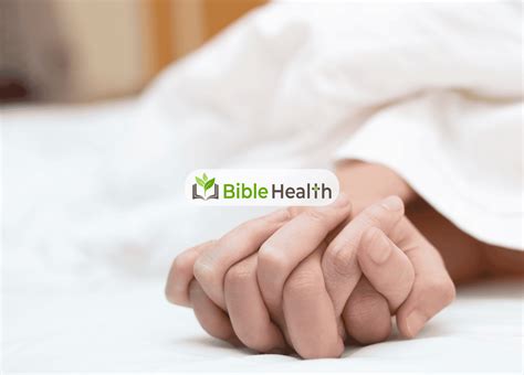 Bible Verses About Peace And Developing A Calming Spirit