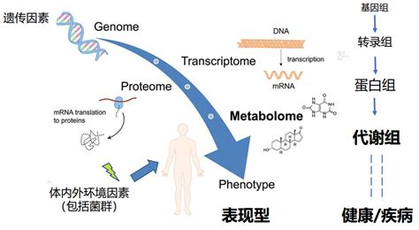 36氪首发 基于代谢组学做肿瘤早筛，「中精普康」获数千万元pre A轮融资 36氪