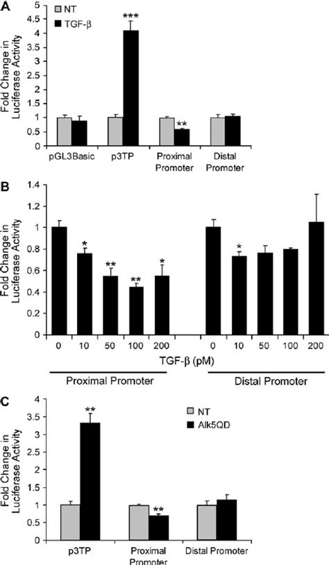 The Proximal T B Riii Promoter Is Negatively Regulated By Tgf B 1 A