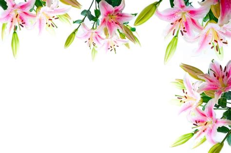 Premium Photo Lily Flowers Composition Frame