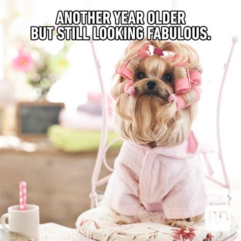 30 Of The Funniest Happy Birthday Memes Reader S Digest Happy