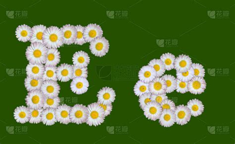 按字母顺序排列的字母作的鲜花