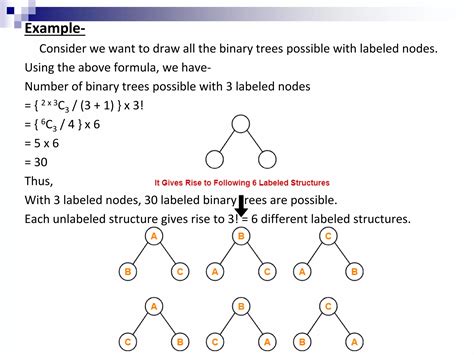Binary Treepptx Programming Languages Computing