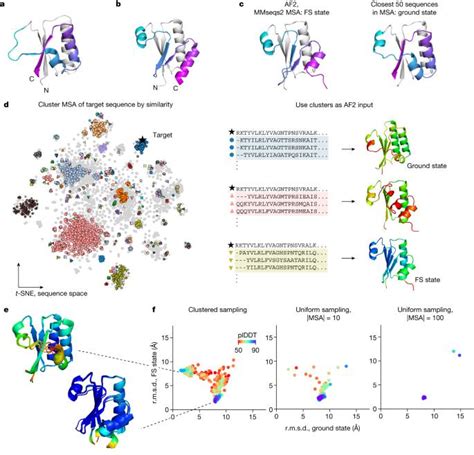 Igor Wortel On Linkedin Predicting Multiple Conformations Via Sequence